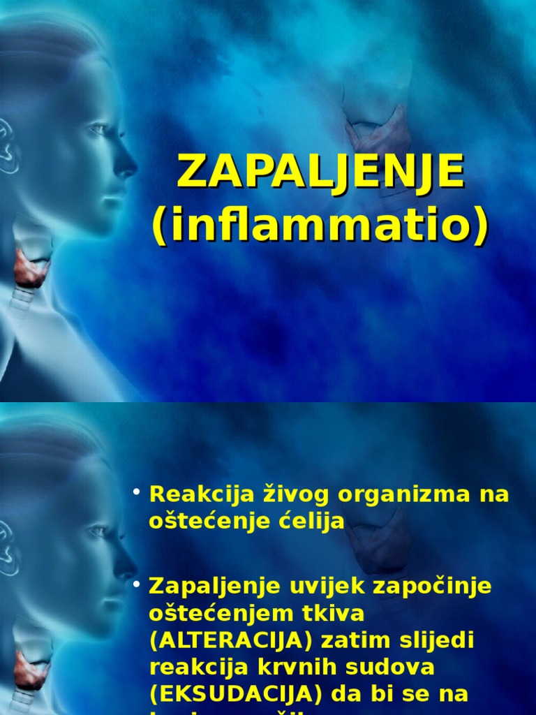 Zapaljenje | PDF
