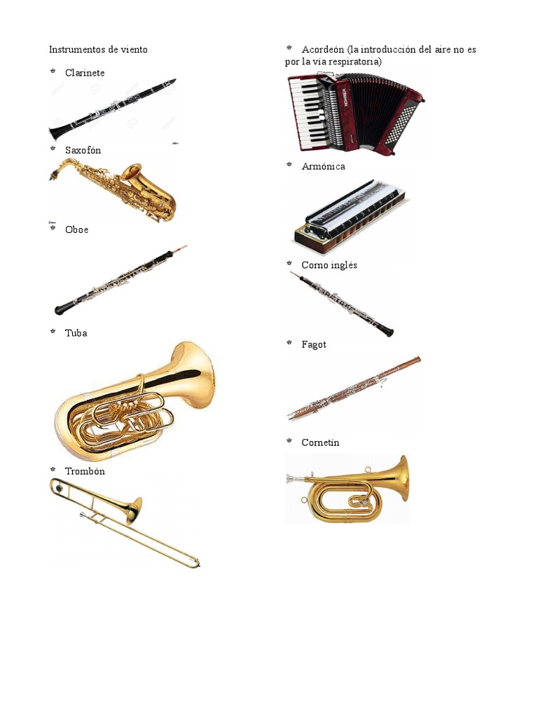 10 Instrumentos de Viento Curda y Percusion