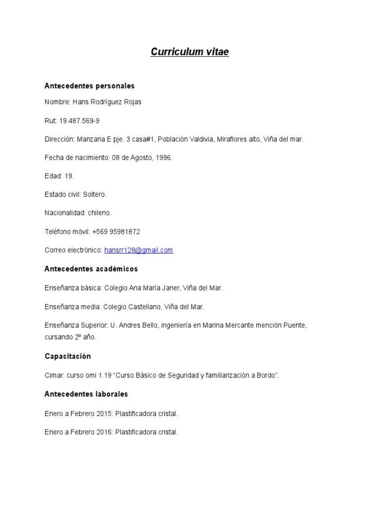 Curriculum Hans | PDF