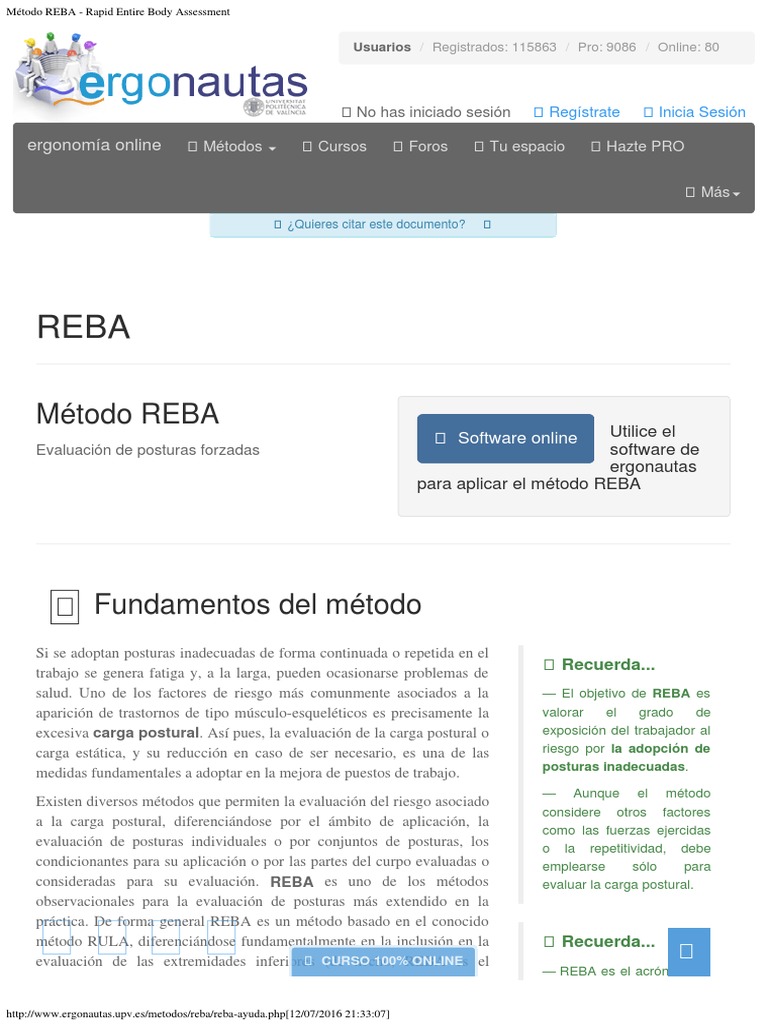 Método REBA - Rapid Entire Body Assessment | PDF | Medición | Rotación