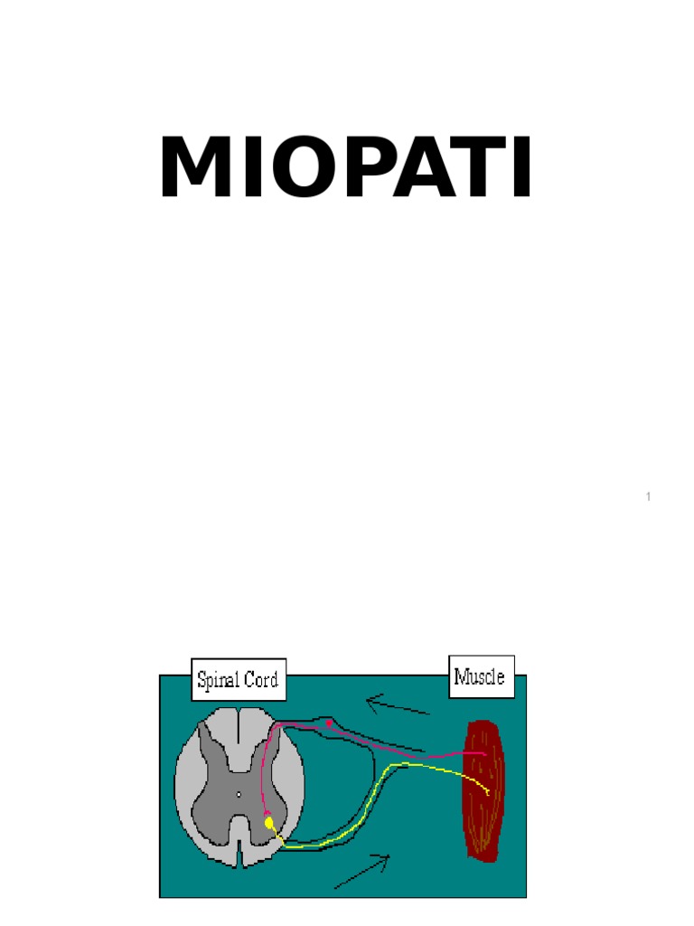 Panduan Lengkap Miopati dan Distrofi Otot | PDF | Pengembangan Diri ...