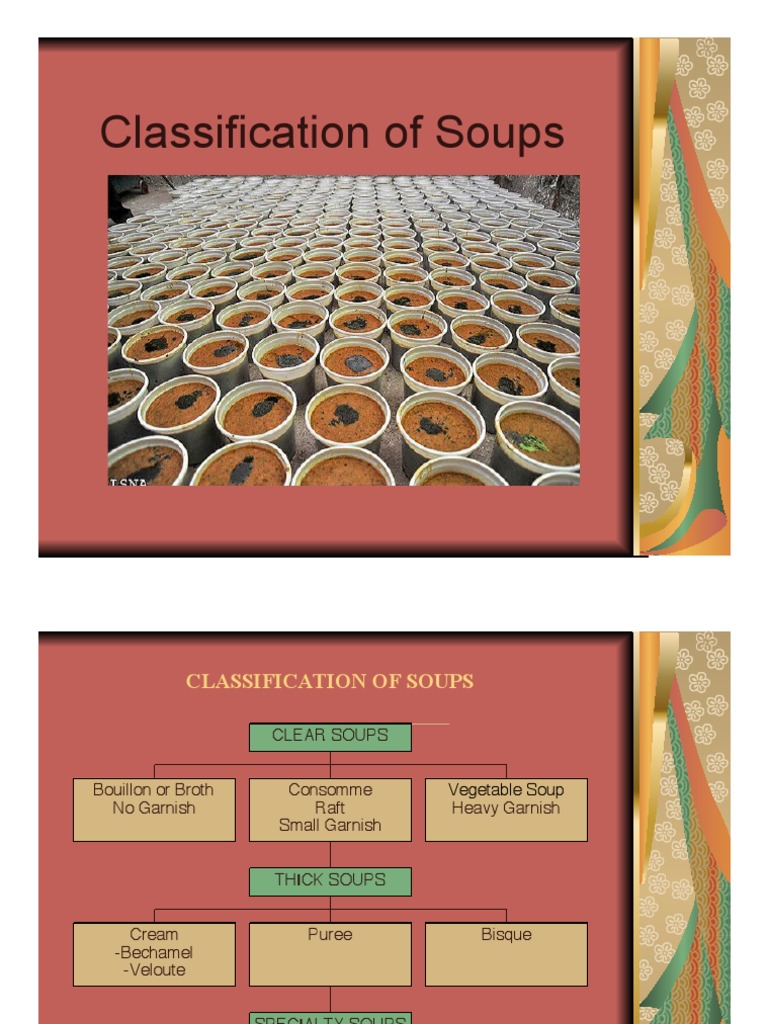 Soup Classification Guide | PDF | Soup | Broth