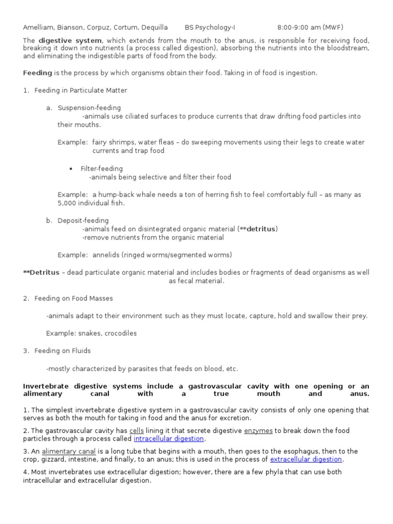 Digestive System Handouts | PDF | Digestion | Gastrointestinal Tract