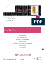 Menu Eval Plus 2025 | PDF | Foods | Menu