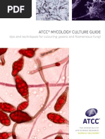 ATCC® Bacterial Culture Guide | PDF | Bacteria | Freeze Drying