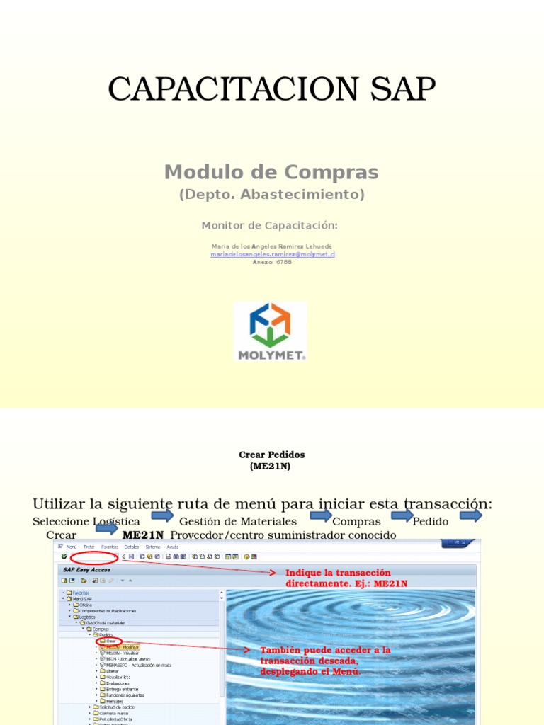 Presentacion Capacitacion Sap (Modulo de Compras) | PDF | Informática y tecnología de la ...