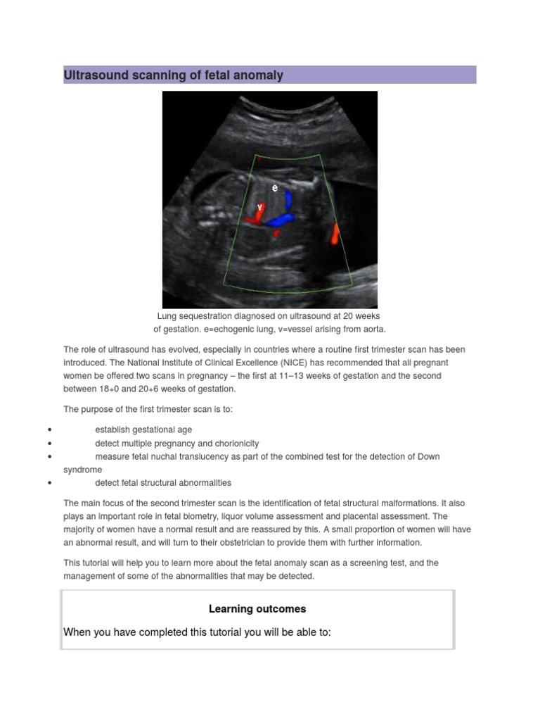 Ultrasound Scanning of Fetal Anomaly | PDF | Congenital Disorder ...