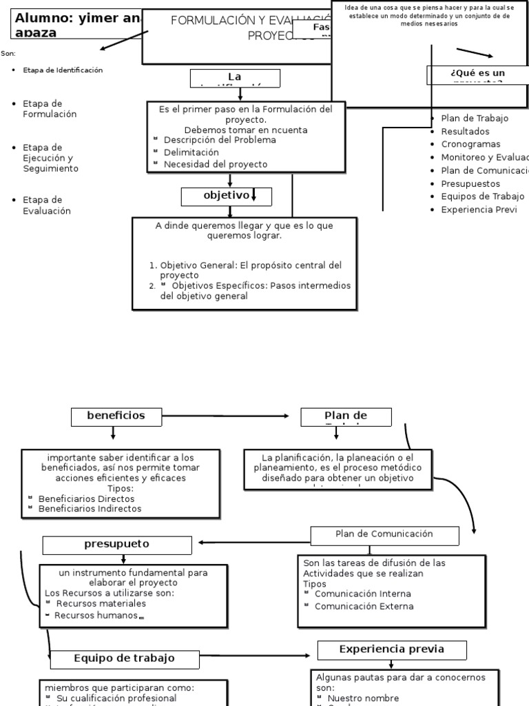 Mapa Conceptual (Formulacion y Evaluacion de Proyectos) | PDF