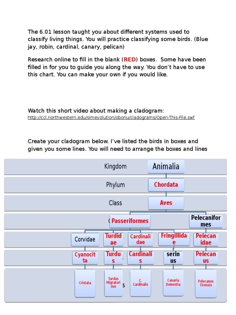 Taxonomy Charts and Cla Do Grams Worksheet | PDF | Dinosaurs | Birds