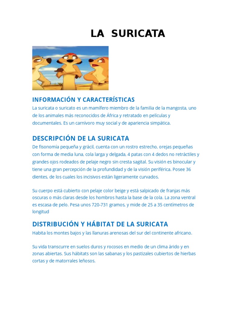 La fascinante suricata | PDF | Suricata | Naturaleza