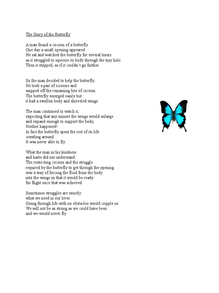 The Story of The Butterfly | PDF | Philosophy