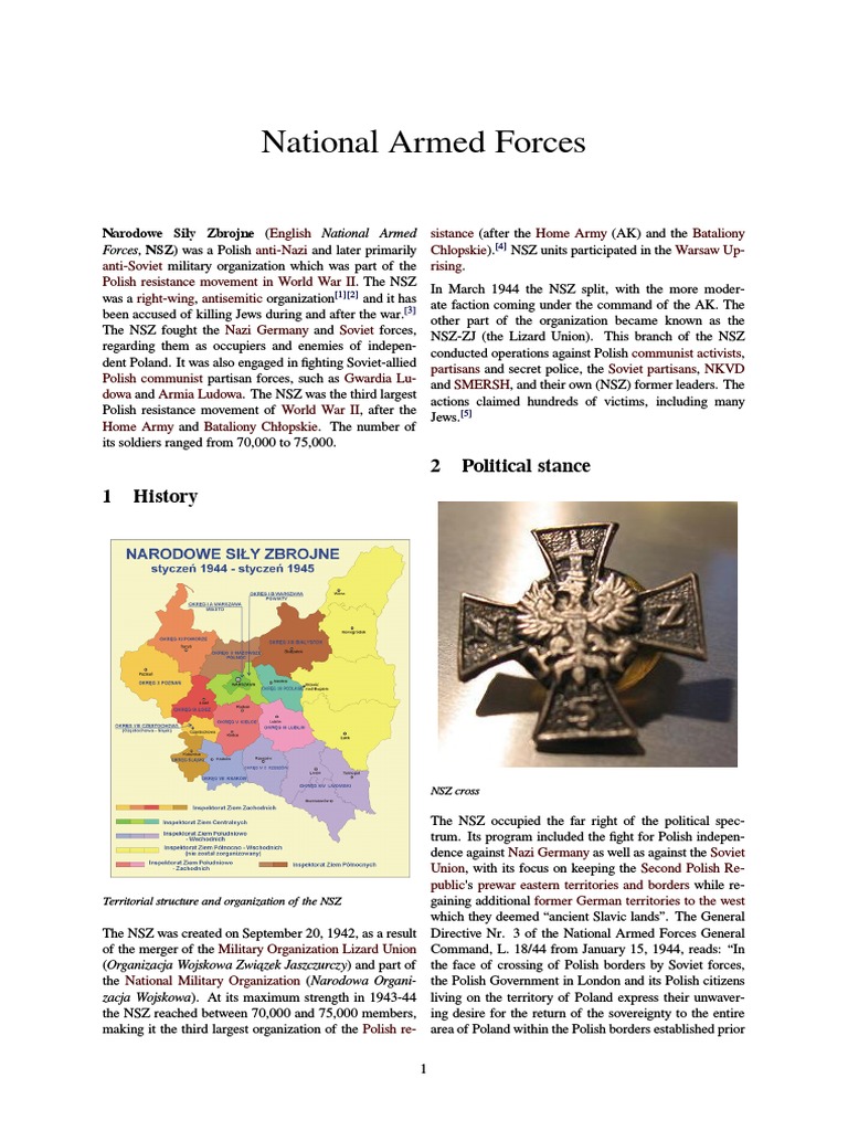 NSZ: Polish Resistance and Controversies | PDF | Global Conflicts ...