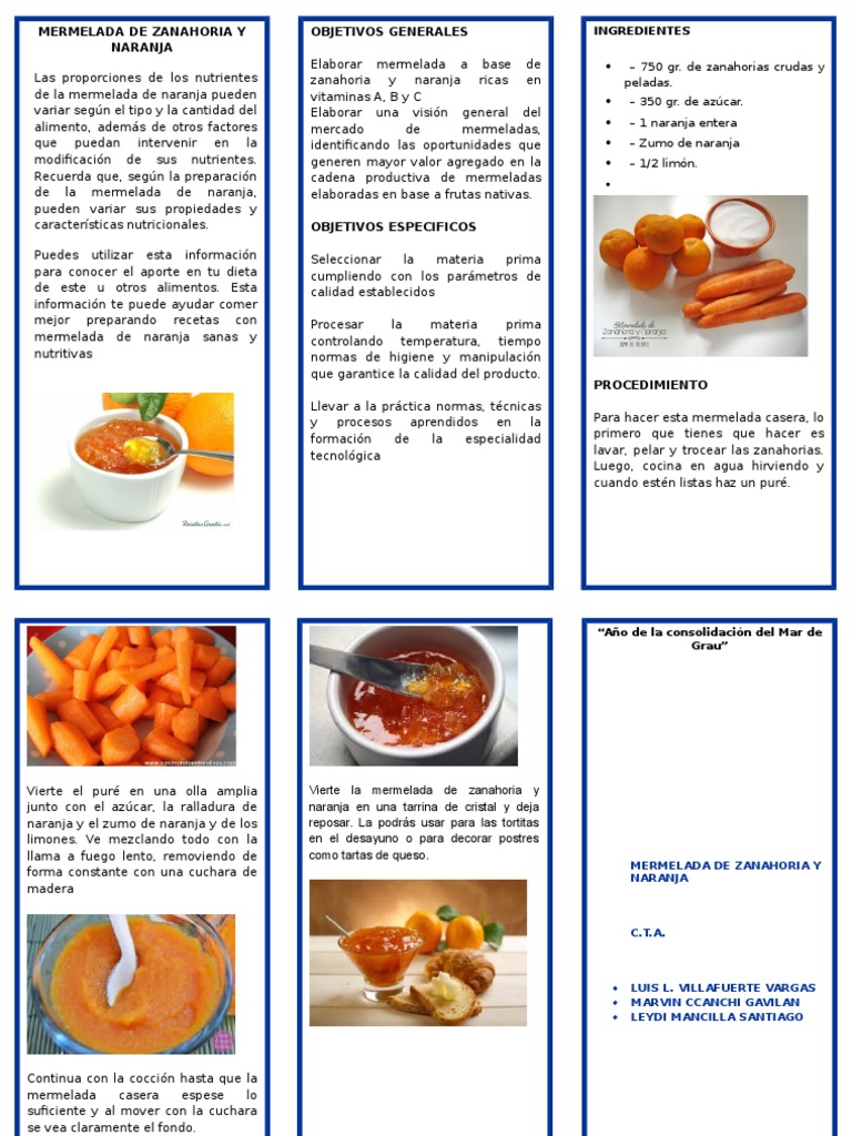 Triptico Simple Mermelada | PDF