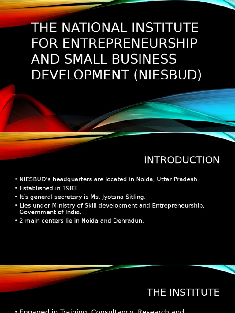 The National Institute For Entrepreneurship and Small Business ...