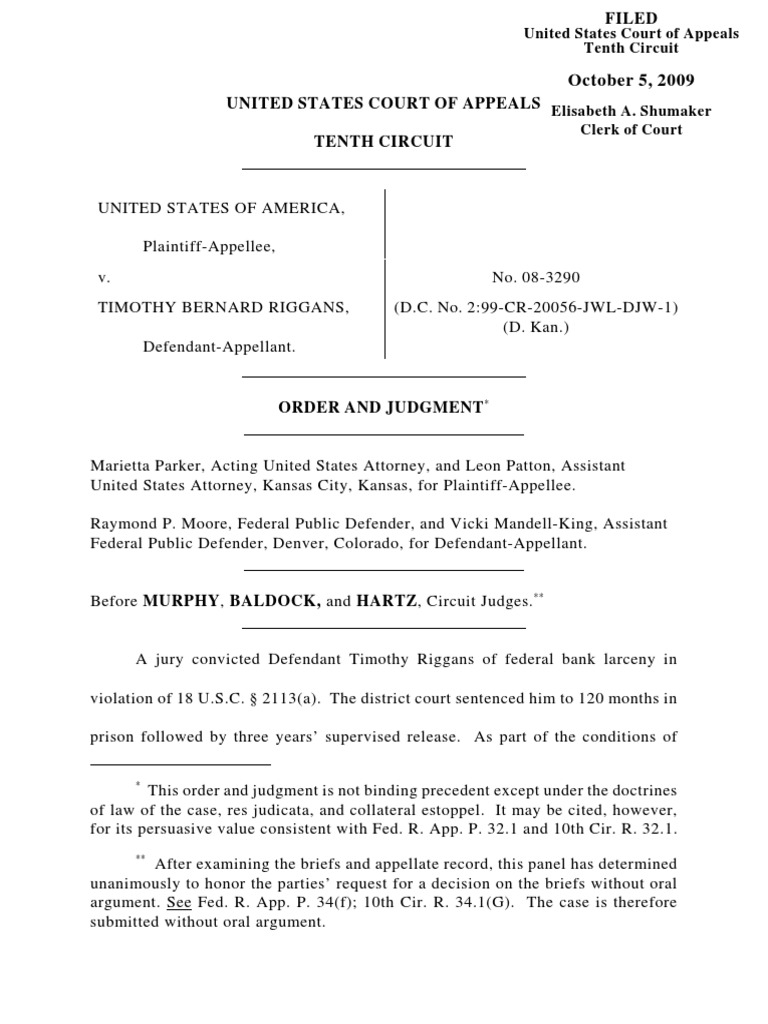 United States v. Riggans, 10th Cir. (2009) | PDF | United States ...