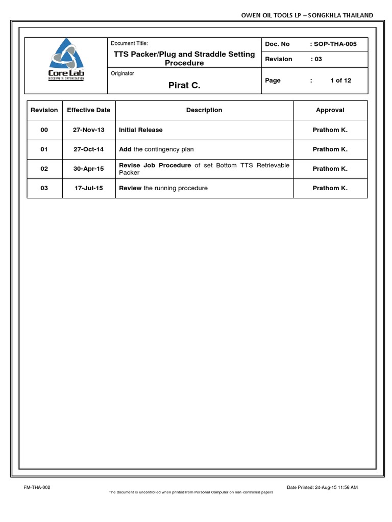 TTS Packer and Straddle Setting Procedure | PDF | Nature