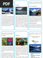 Triptico de Pasco | PDF | Alimentos | Naturaleza