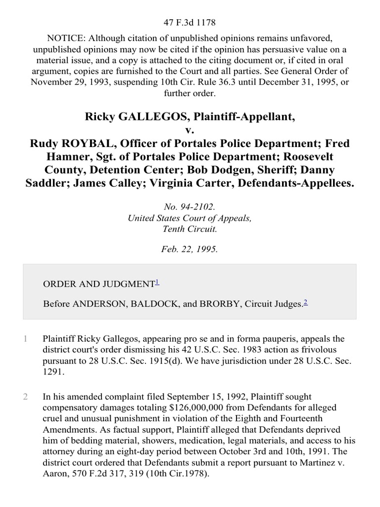 Ricky Gallegos v. Rudy Roybal, Officer of Portales Police Department ...