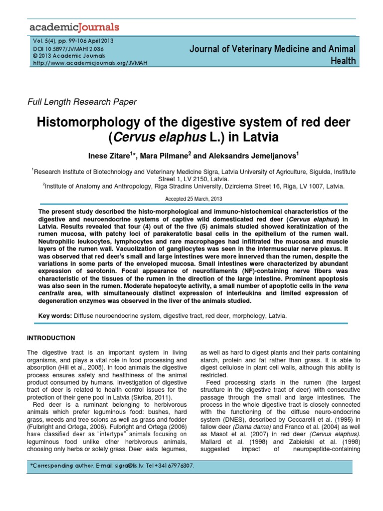 Histomorphology of The Digestive System of Red Deer (Cervus Elaphus L ...