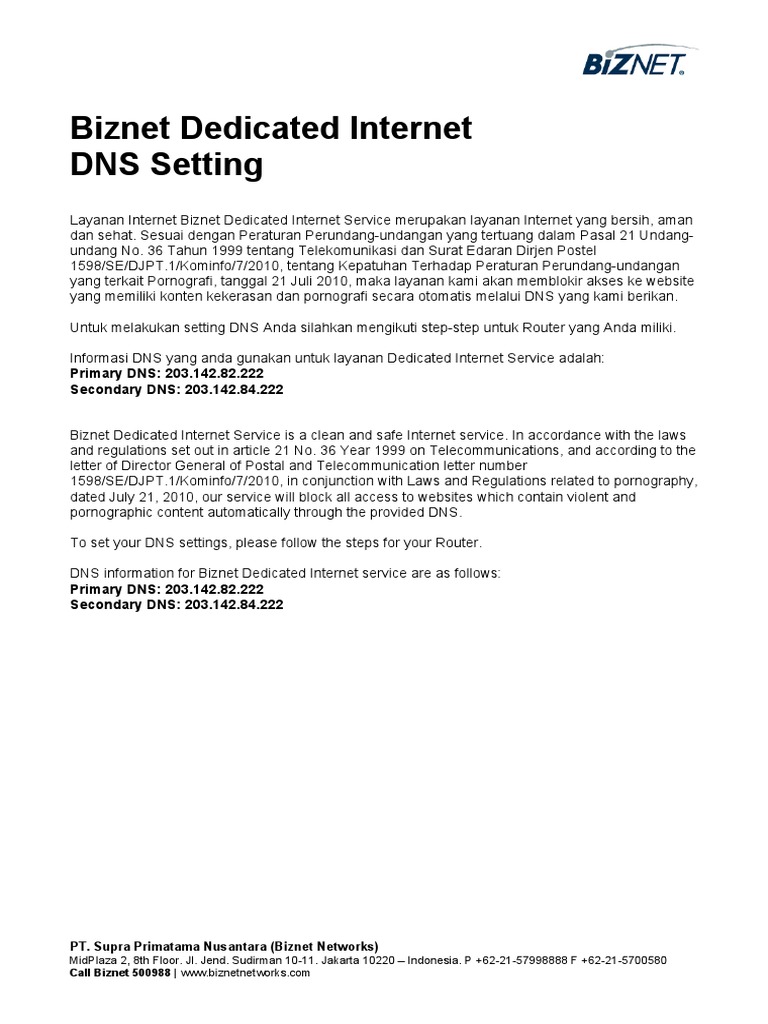 Biznet Dedicated Internet - DNS Setting | PDF