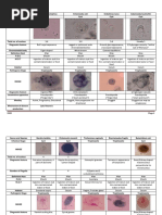 Cestodes (Table) | PDF | Medical Specialties | Diseases And Disorders