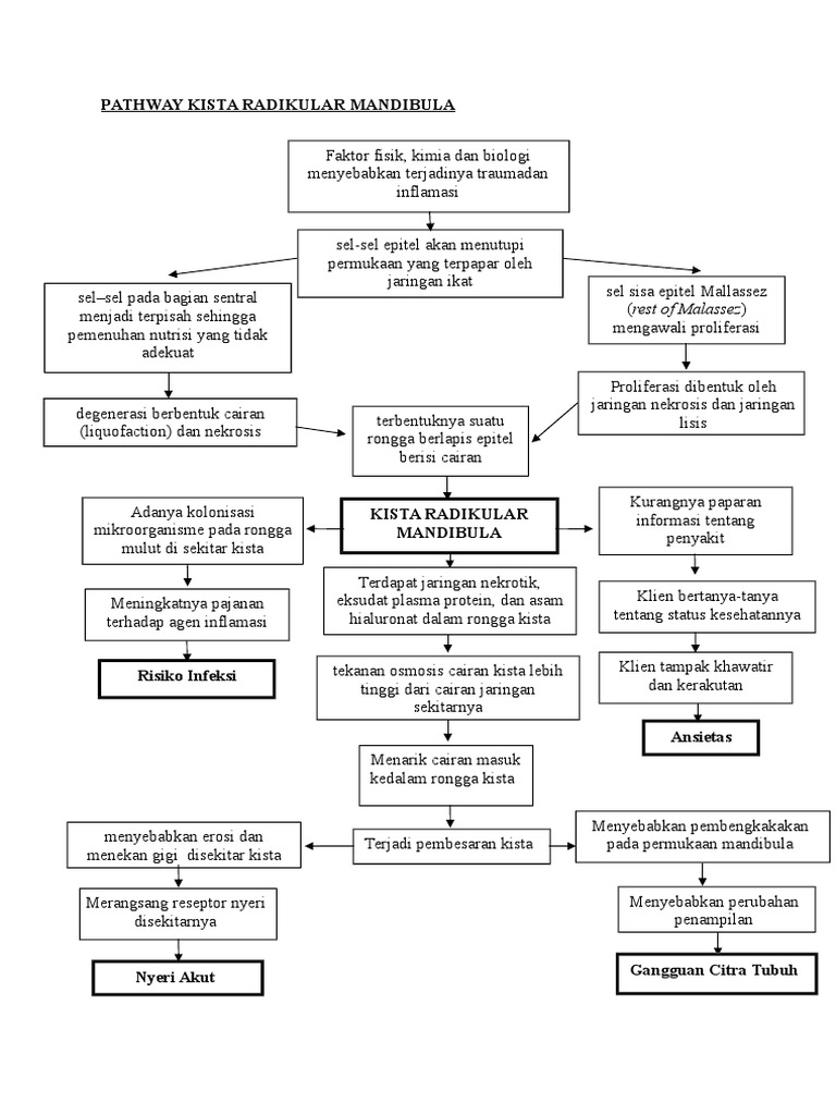 Pathway Kista Radikular Mandibula | PDF