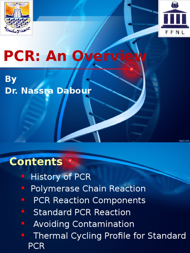PCR An Overview | PDF | Polymerase Chain Reaction | Primer (Molecular ...
