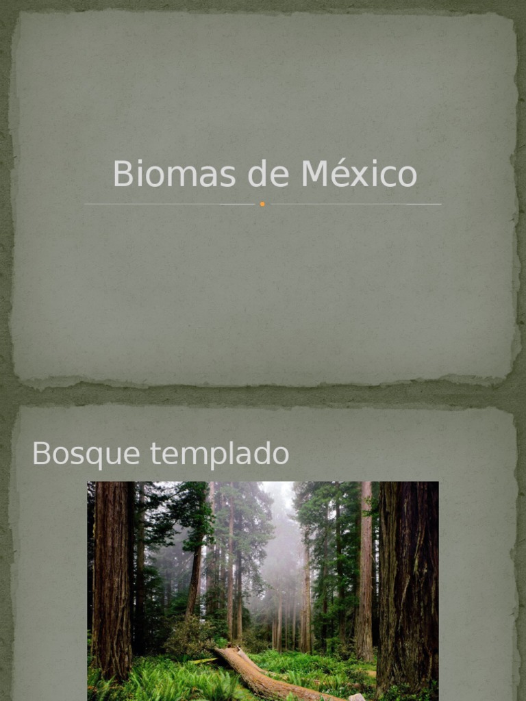 Biomas de México | PDF | Organismos | Biogeografia
