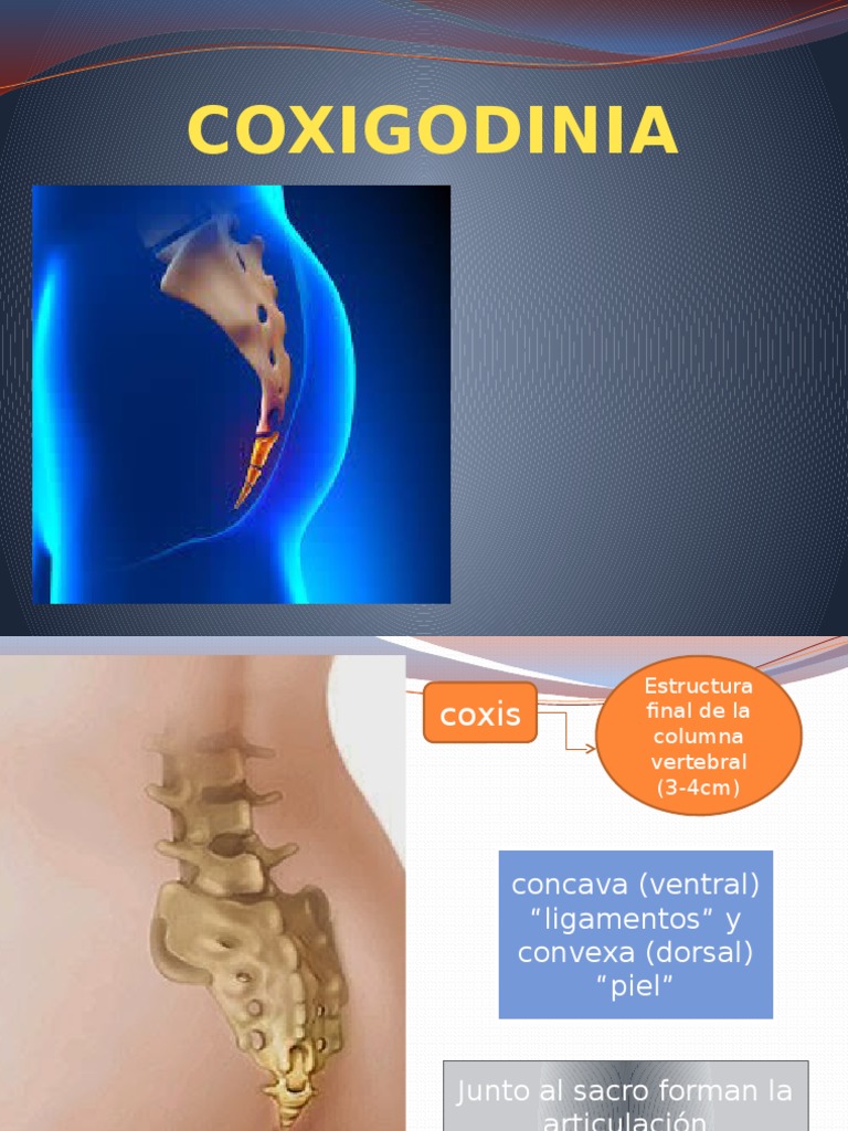 COXIGODINIA | PDF | Pelvis | Sistema musculoesquelético