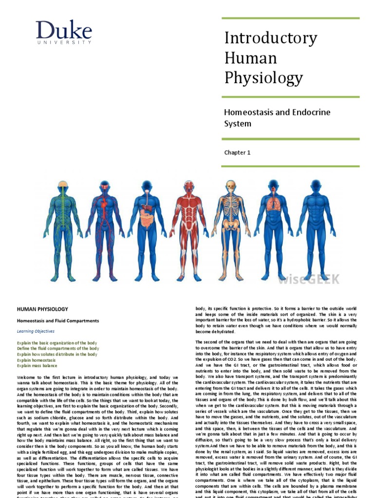 Introductory Human Physiology DUKE UNIVERSITY | PDF | Homeostasis ...