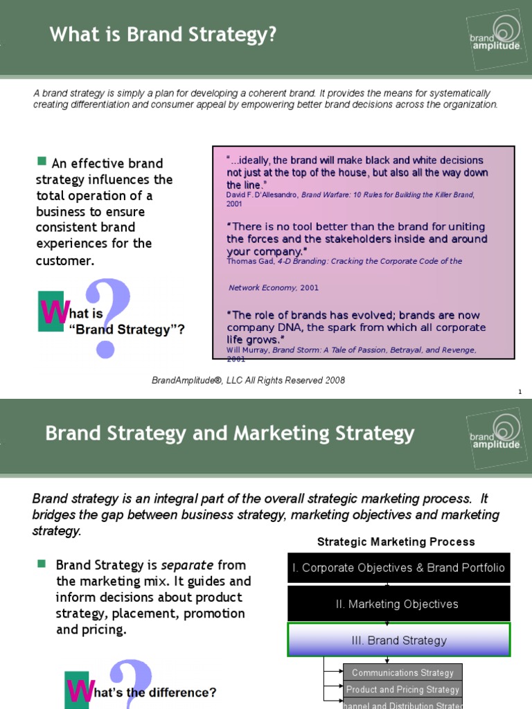 Brand Strategy Toolkit | PDF | Brand | Customer Experience