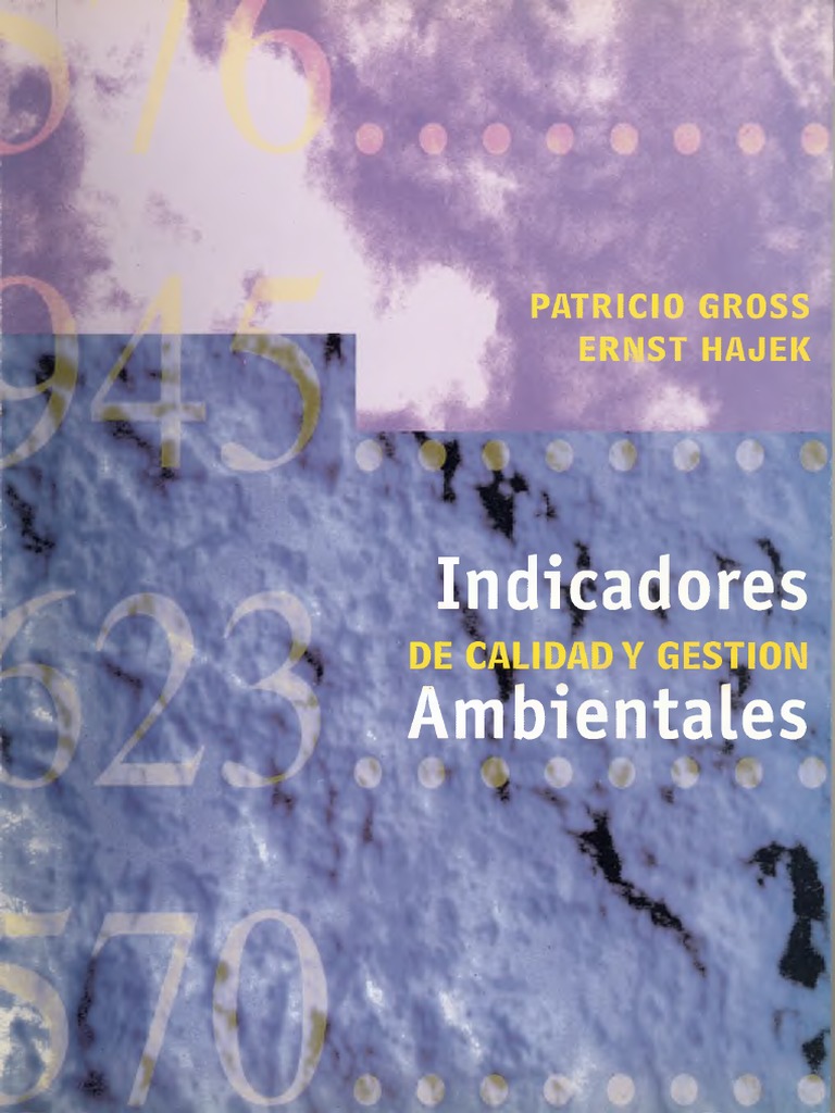 Indicadores Cal y Gest Ambientales Gross Hajek PDF | PDF ...