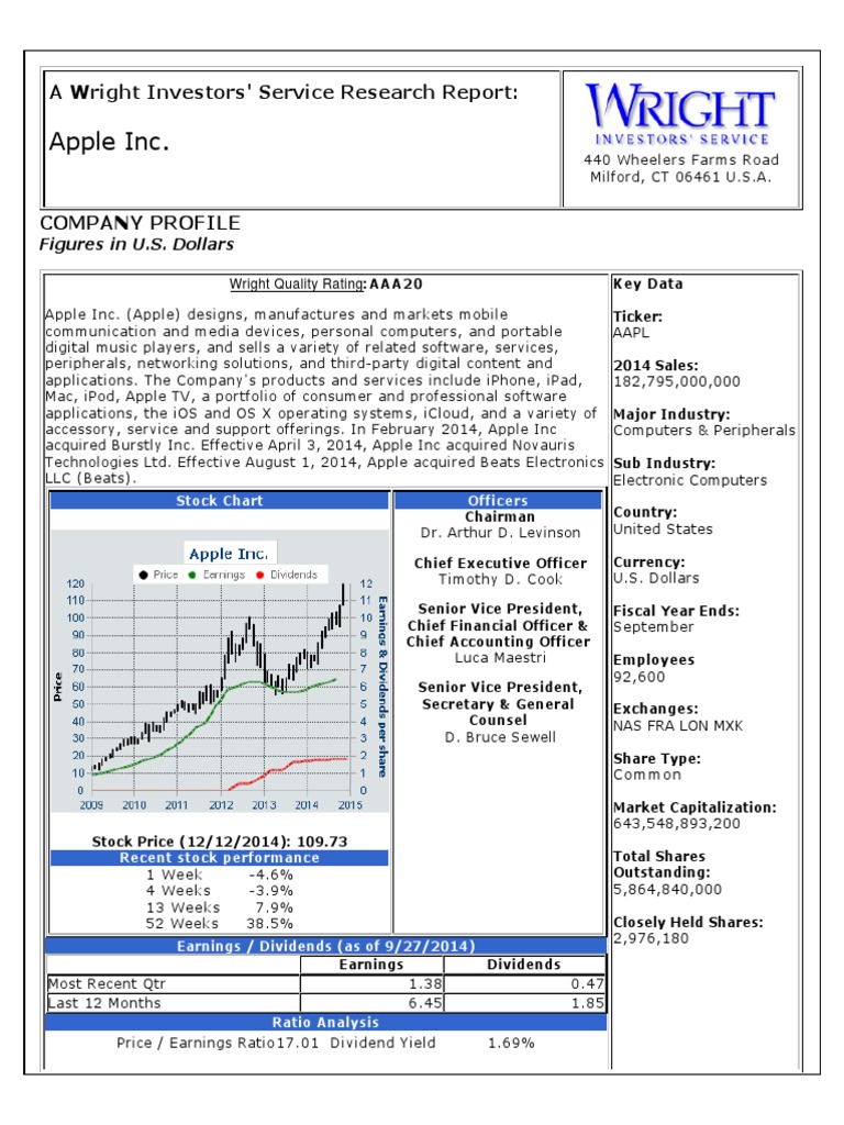 Company Sample Report Equity | PDF | Equity (Finance) | Financial Capital
