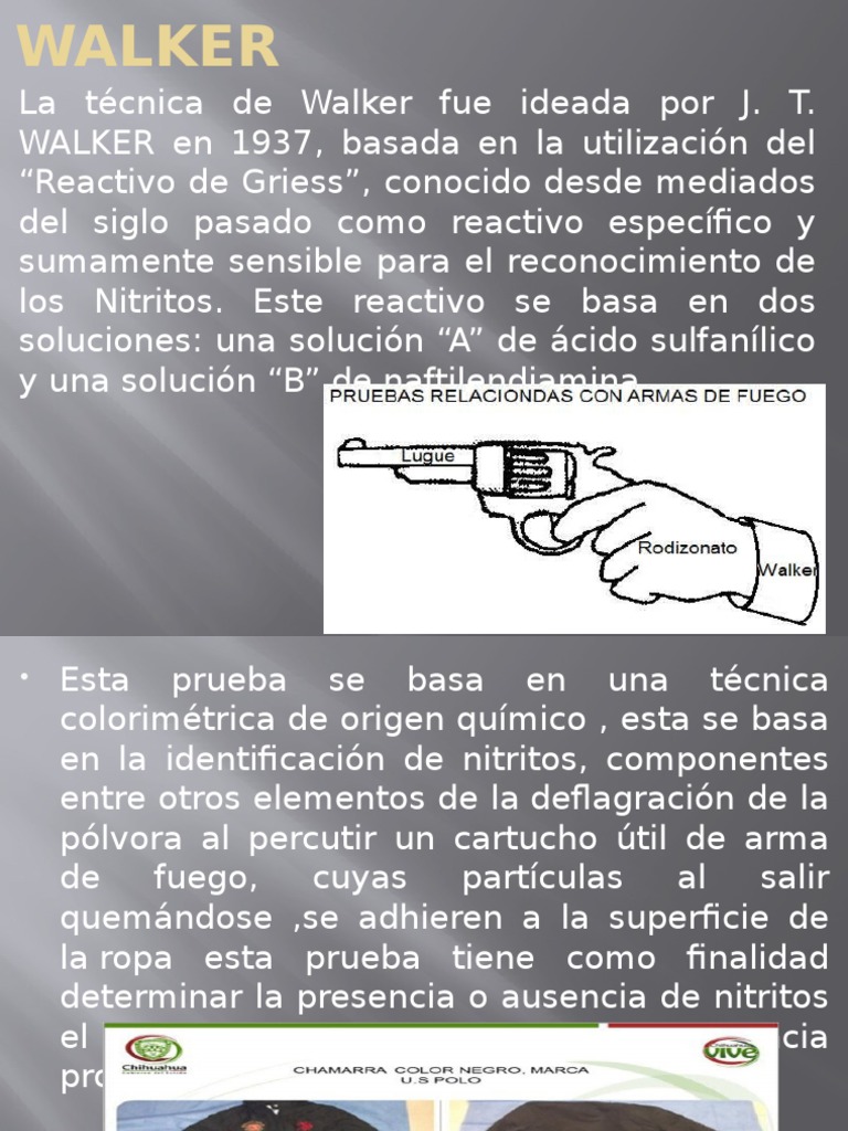 2.5 Prueba de Walker | PDF