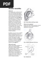Alfredson Protocol - Achille's Tendonitis | PDF | Pain | Clinical Medicine