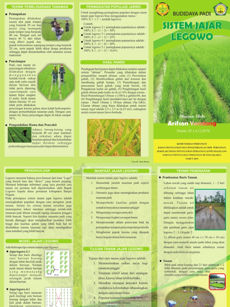 Budidaya Padi Sistem Jajar Legowo | PDF