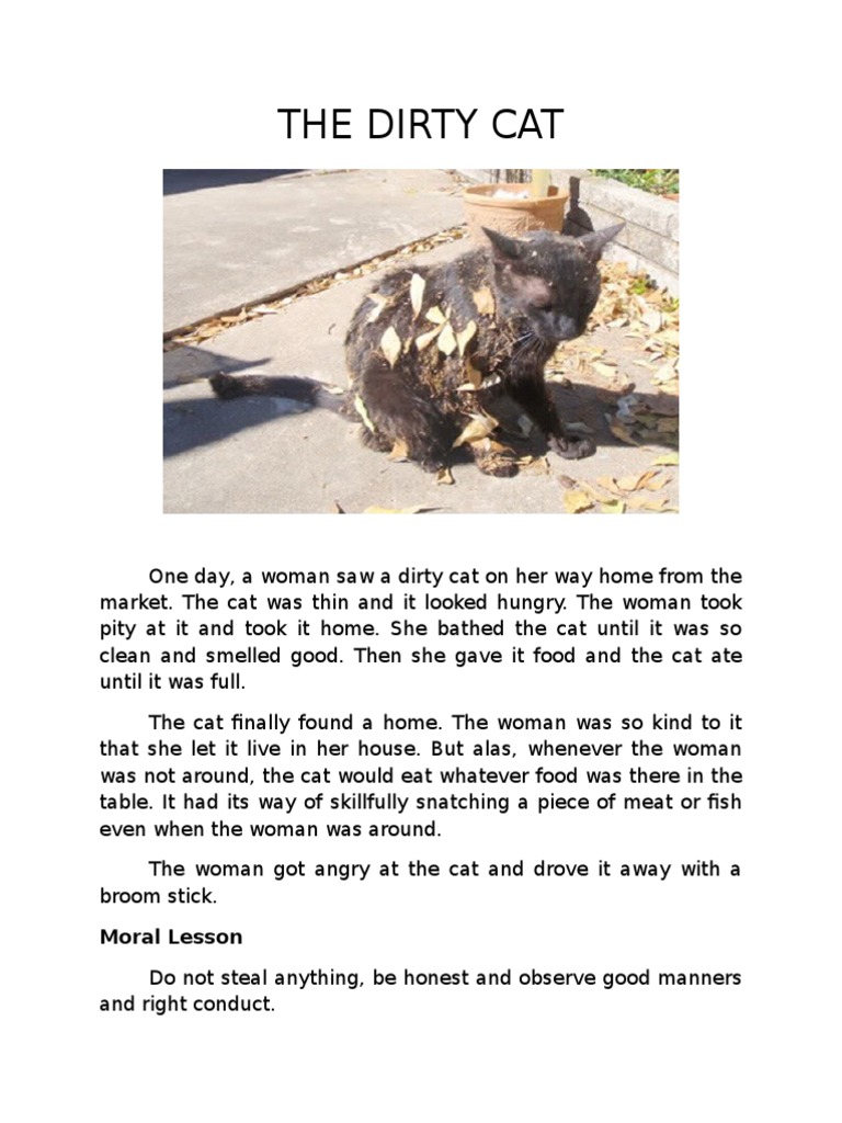 The Dirty Cat | PDF