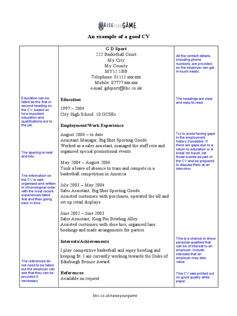 An Example of A Good CV | PDF