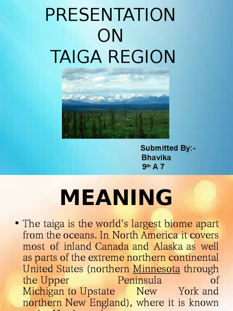 Presentation On Taiga Region | PDF