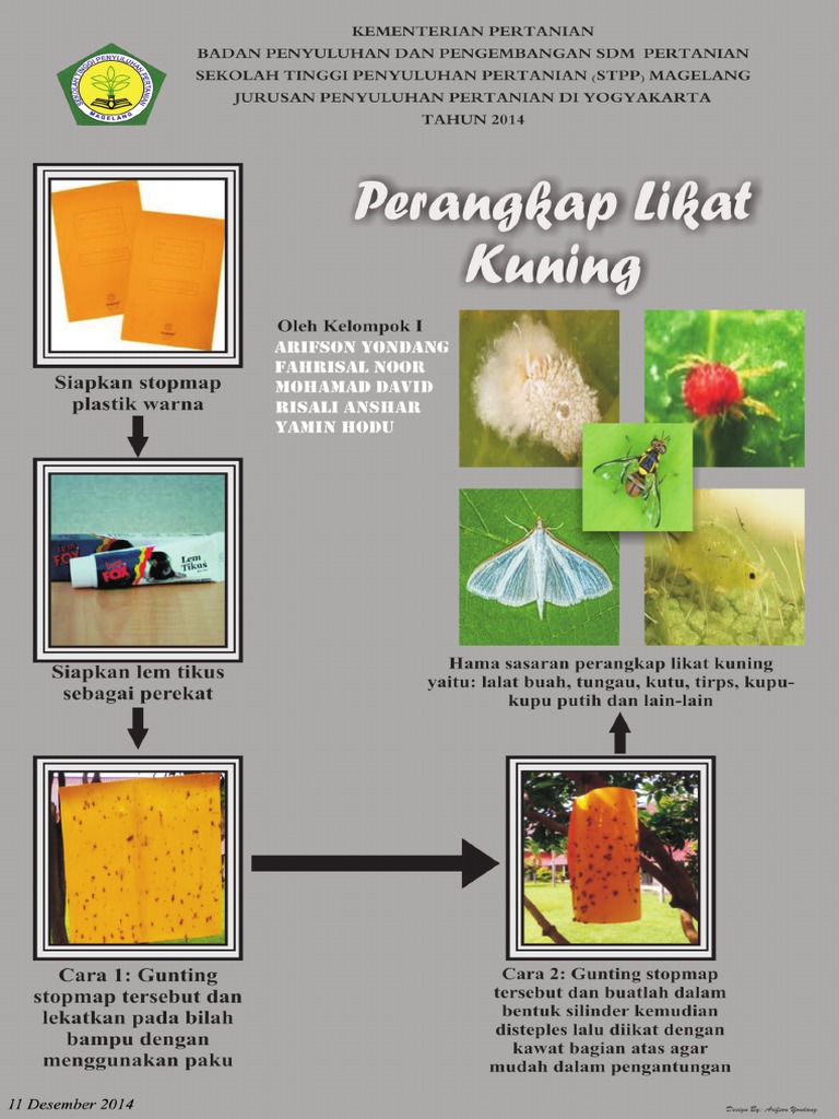 Perangkap Likat Kuning | PDF