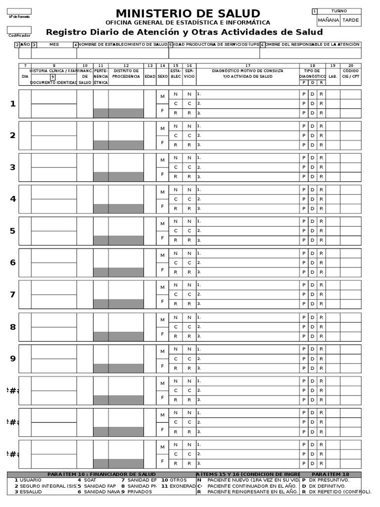 Formato HIS Minsa 2024 para Imprimir | PDF | Salud y bienestar | Medicina