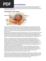 Teknik Masturbasi Pria yang Kreatif | PDF