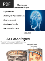 Cómo Acceder A Neuronup para Tu Sesión | PDF