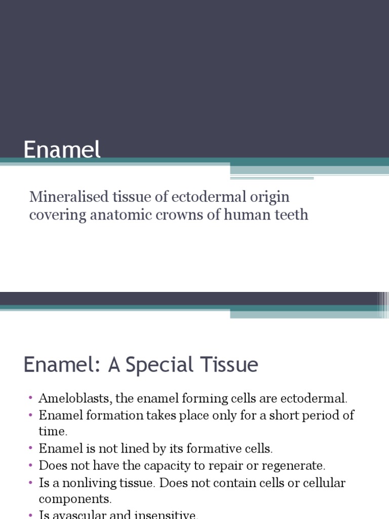 Enamel | PDF | Tooth Enamel | Tooth