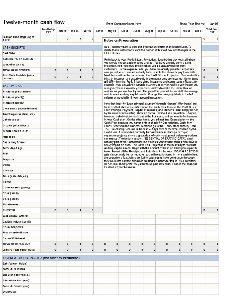12 Month Cash Flow Statement1 | PDF | Expense | Working Capital