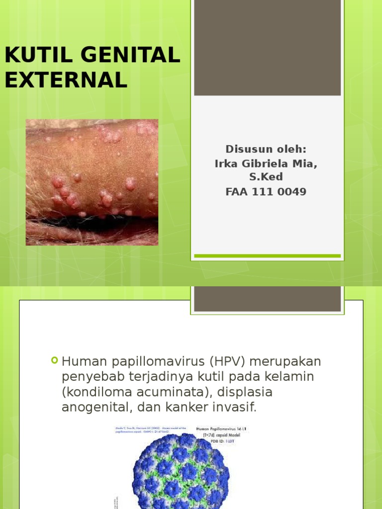 Kutil Genital External | PDF