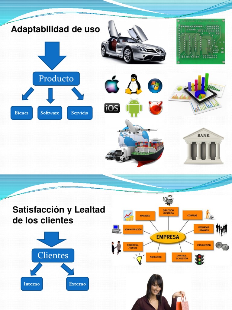 Adaptabilidad Del Uso | PDF | Calidad (comercial) | Software