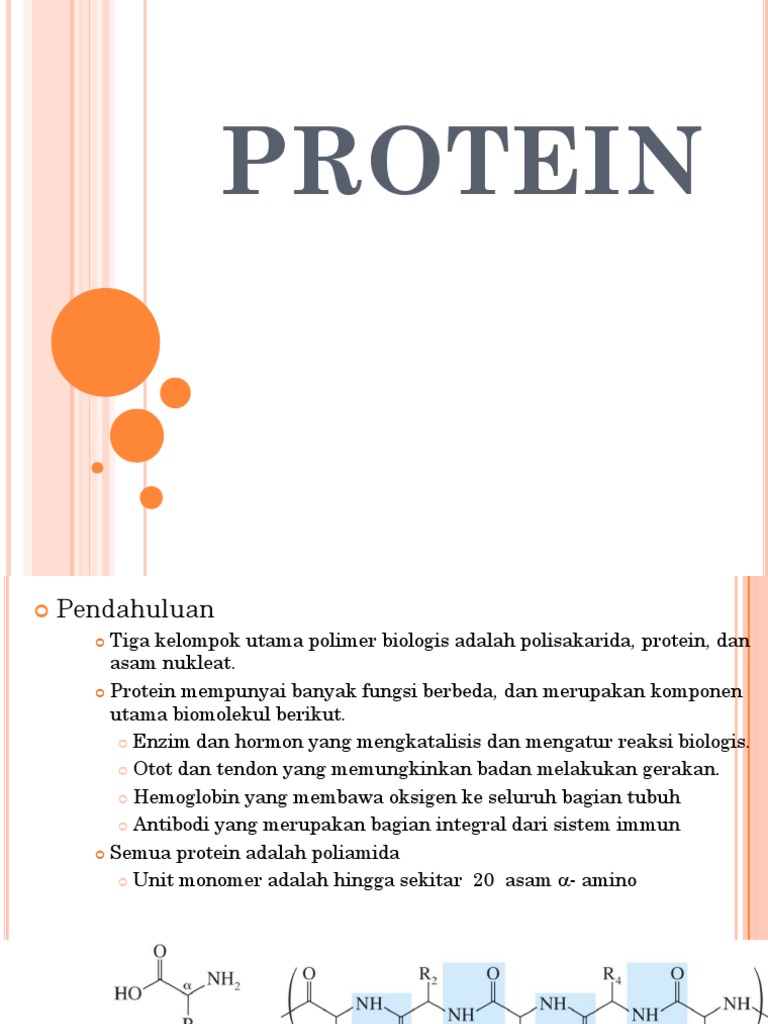 Struktur dan Fungsi Protein dalam Biologi | PDF | Alfa Helix | Struktur Protein