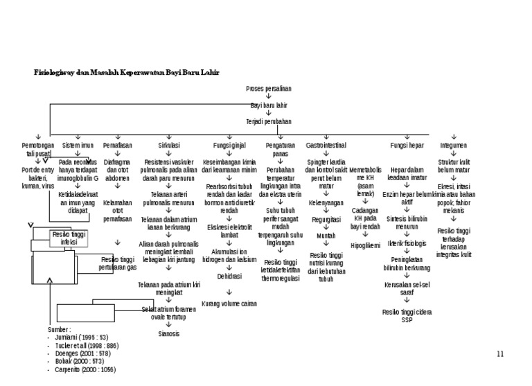 Pathway Bayi Baru Lahir | PDF