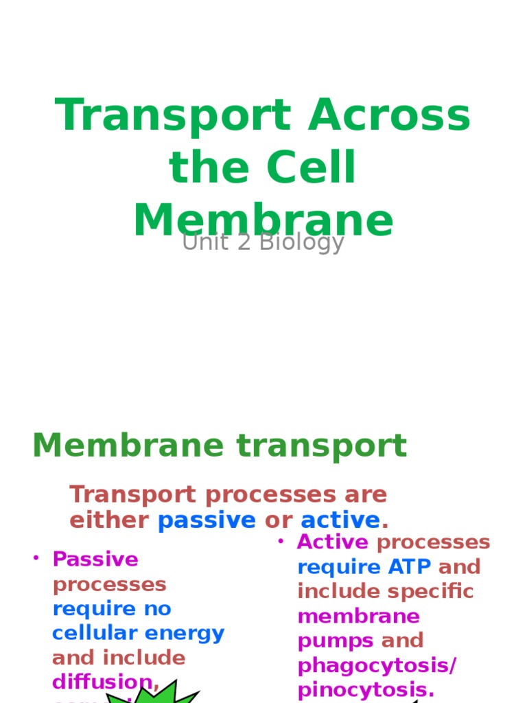 Transport Across The Cell Membrane | PDF | Cell Membrane | Osmosis